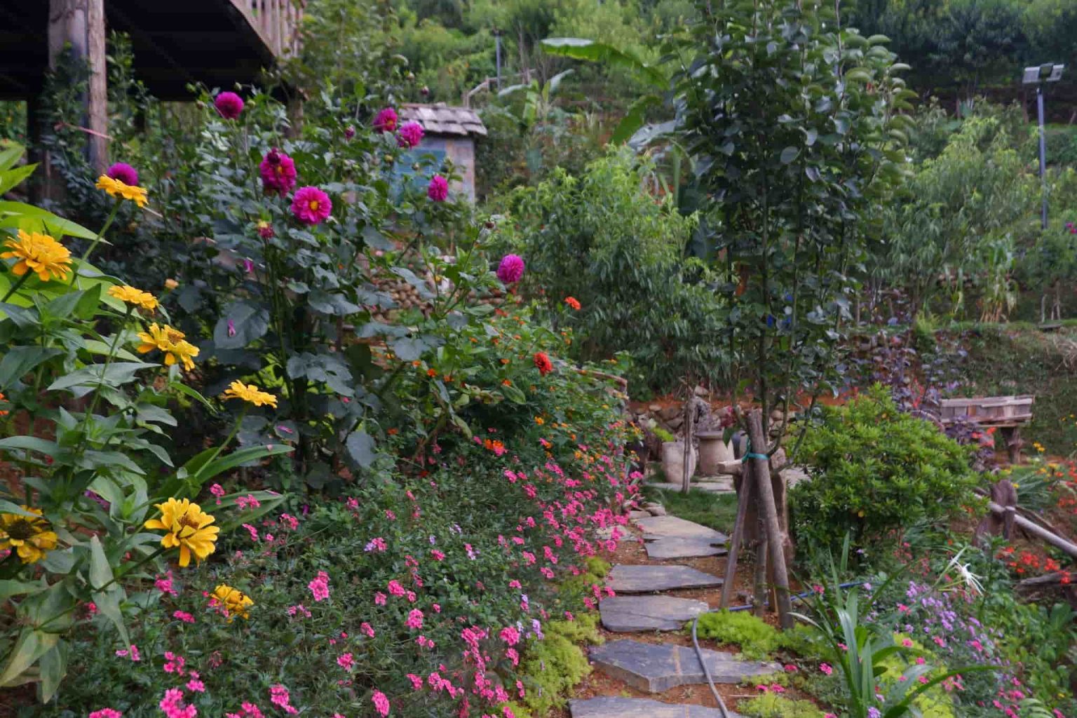 Ta Phin Cottage in Sapa: A Touch of Nordic Charm in Vietnam Northwest ...